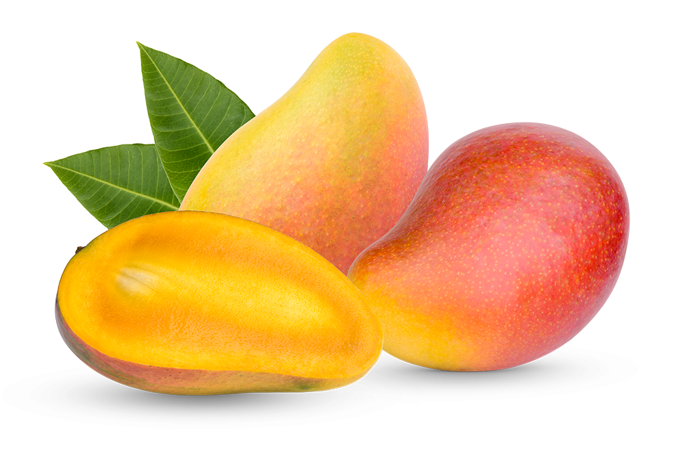 Mango – friend-fcf.com